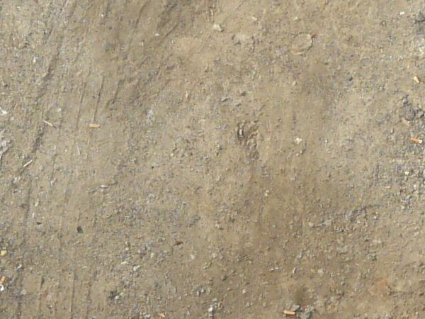 spotted dirt road texture 0009 - Texturelib